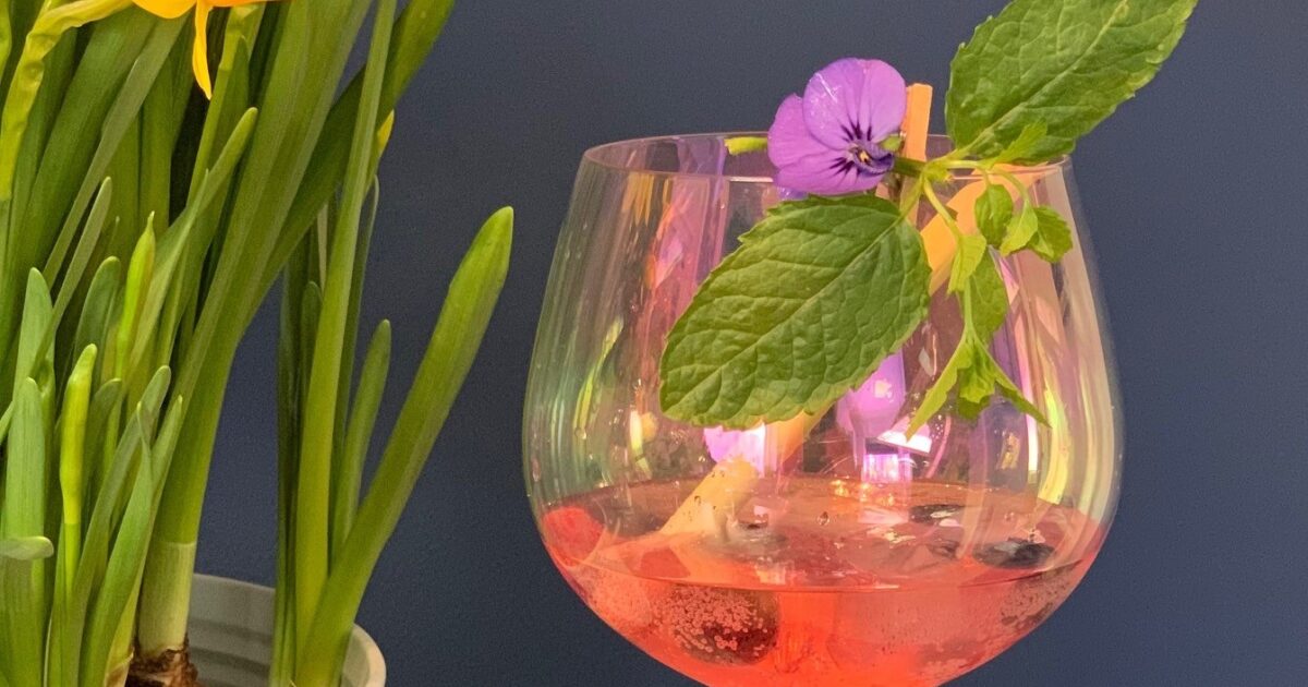 Hampshire Hare Gin Tasting Evening: Ideal Collection